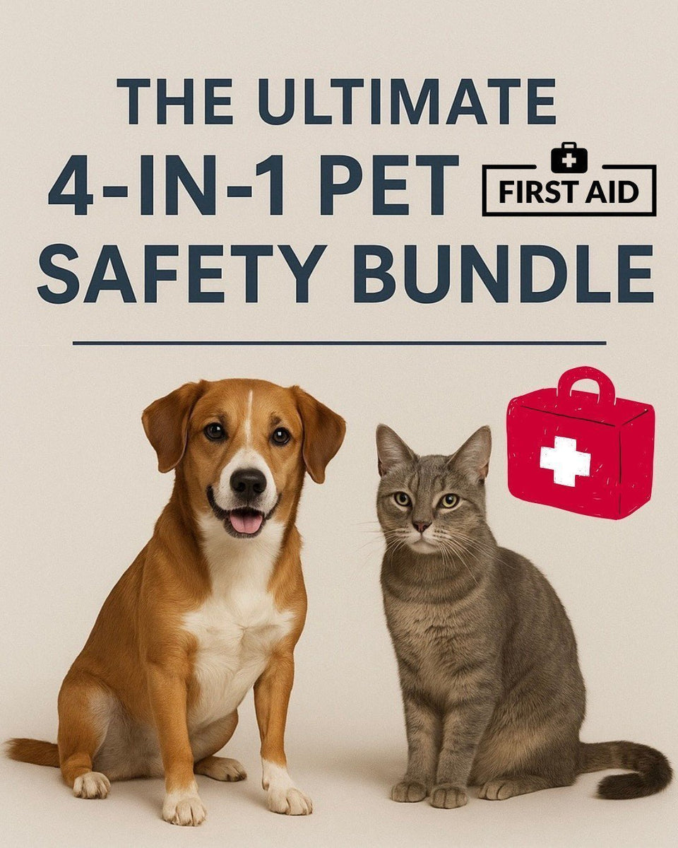 Keep Your Pet Safe All Year Round with The Ultimate 4-in-1 Pet Safety ...