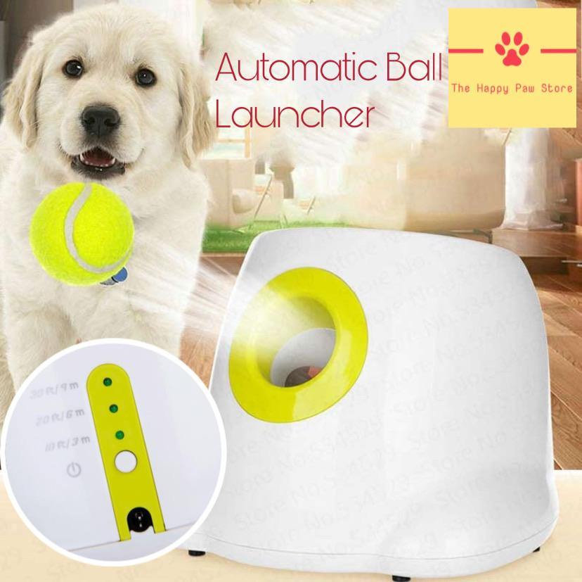 Automatic Mini Ball Launcher - The Happy Paw Store