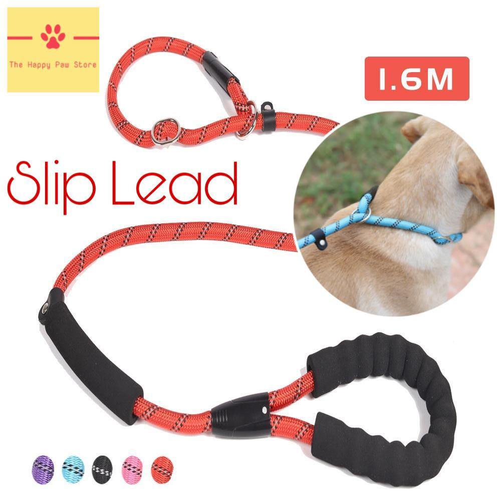 Slip Lead for Dogs | Slip Collar – The Happy Paw Store